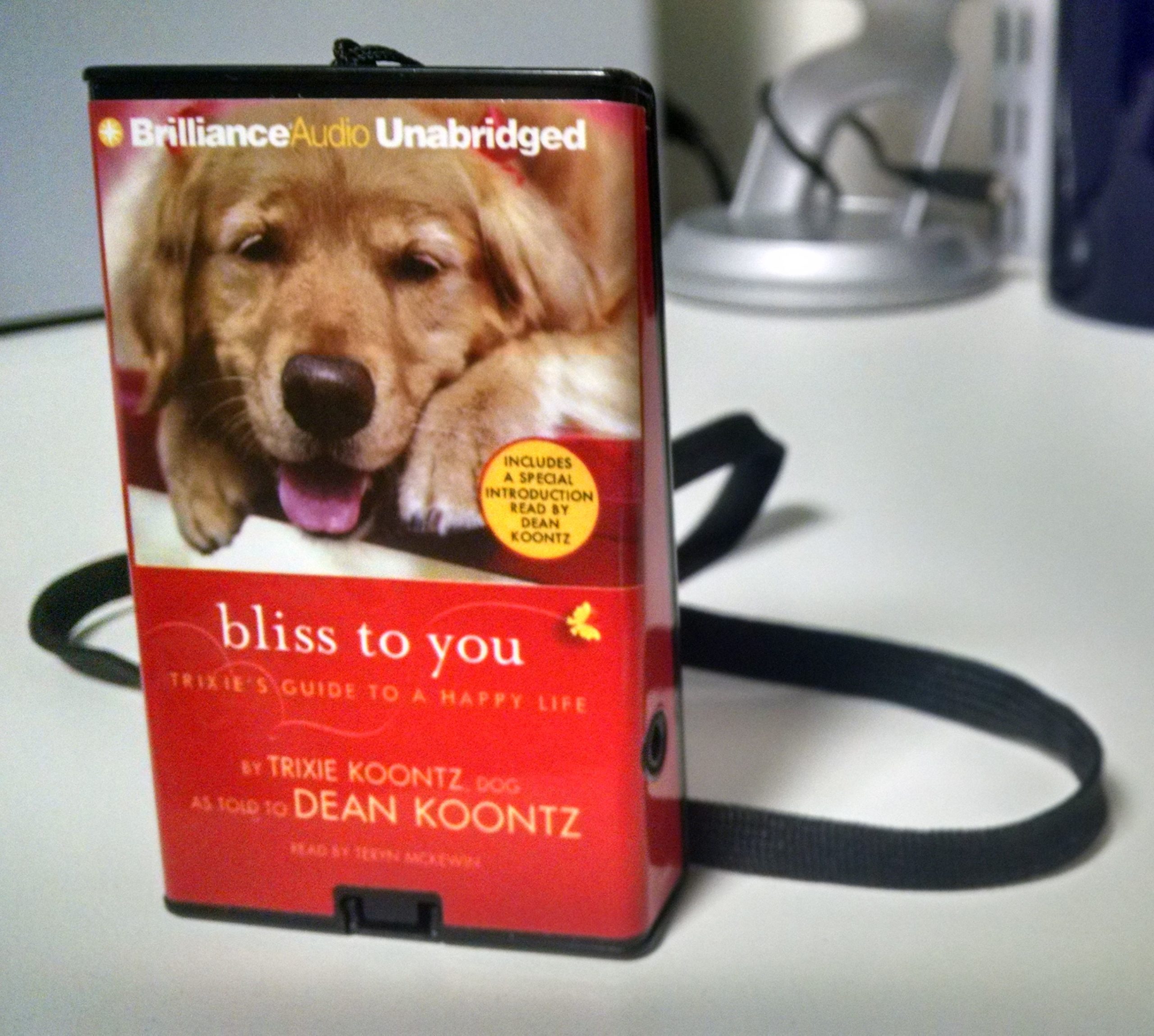 Throwback Thursday: Bliss to You Playaway - The Collector's Guide to ...